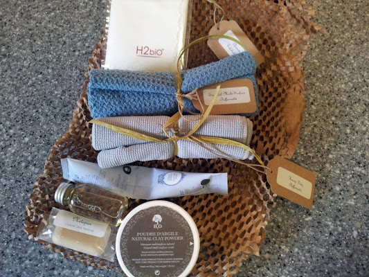 Natural Cleaning with H20 At Home ~ Products For Green Living - Mom ...