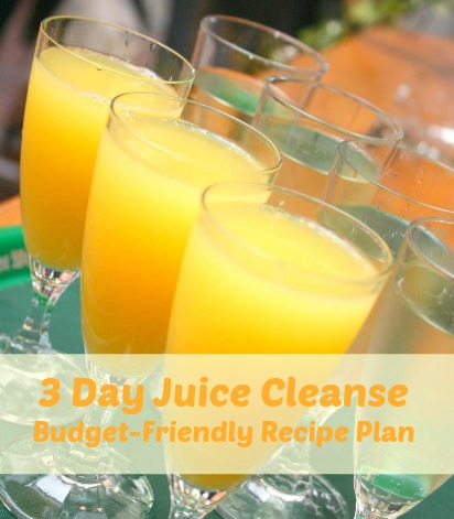 Complete 3 Day Juice Cleanse Recipes