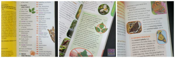 Get Kids Ready For the Great Backyard Bird Count with Bird Books (Plus ...